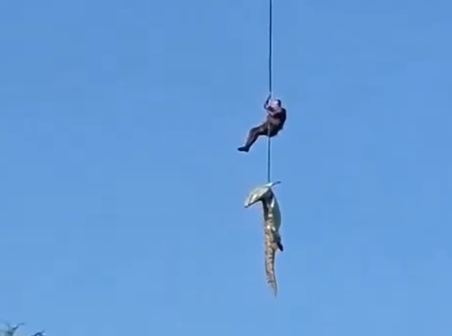 Police diver describes high-risk crocodile recovery operation