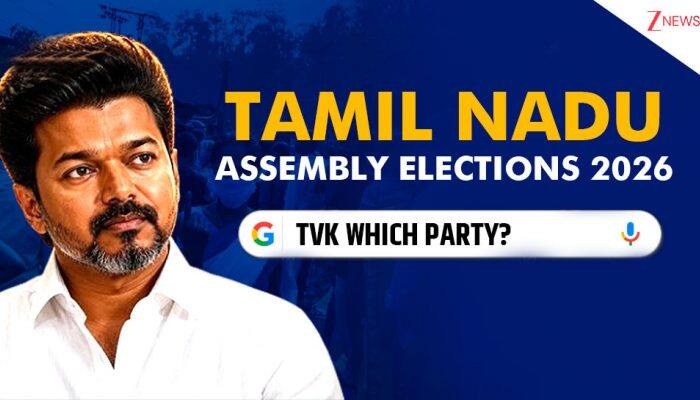'TVK which party?' Google trends explode as Thalapathy Vijay scripts ...