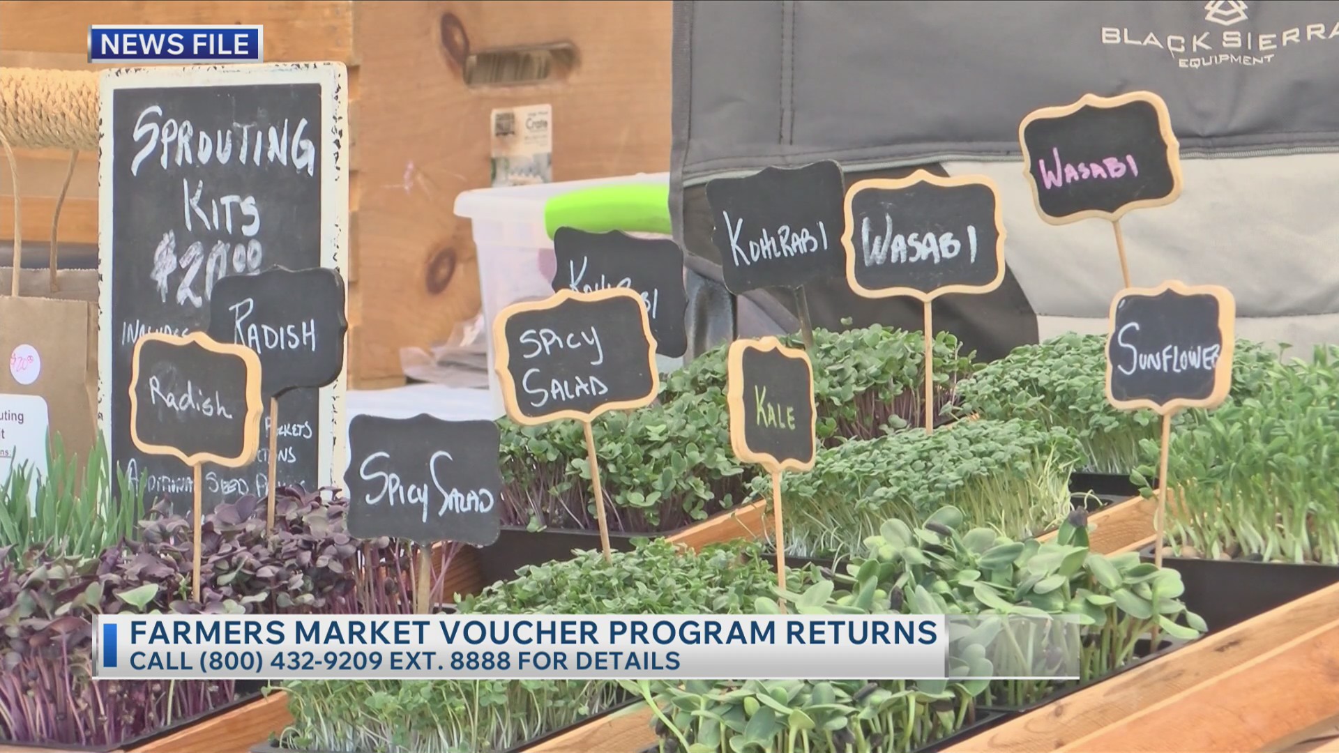 Farmers market voucher program returns