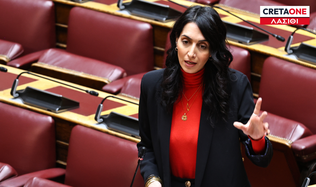Σπυριδάκη: «Ο Υπουργός Υγείας σε ρόλο σχολιαστή και τα νοσοκομεία του ...