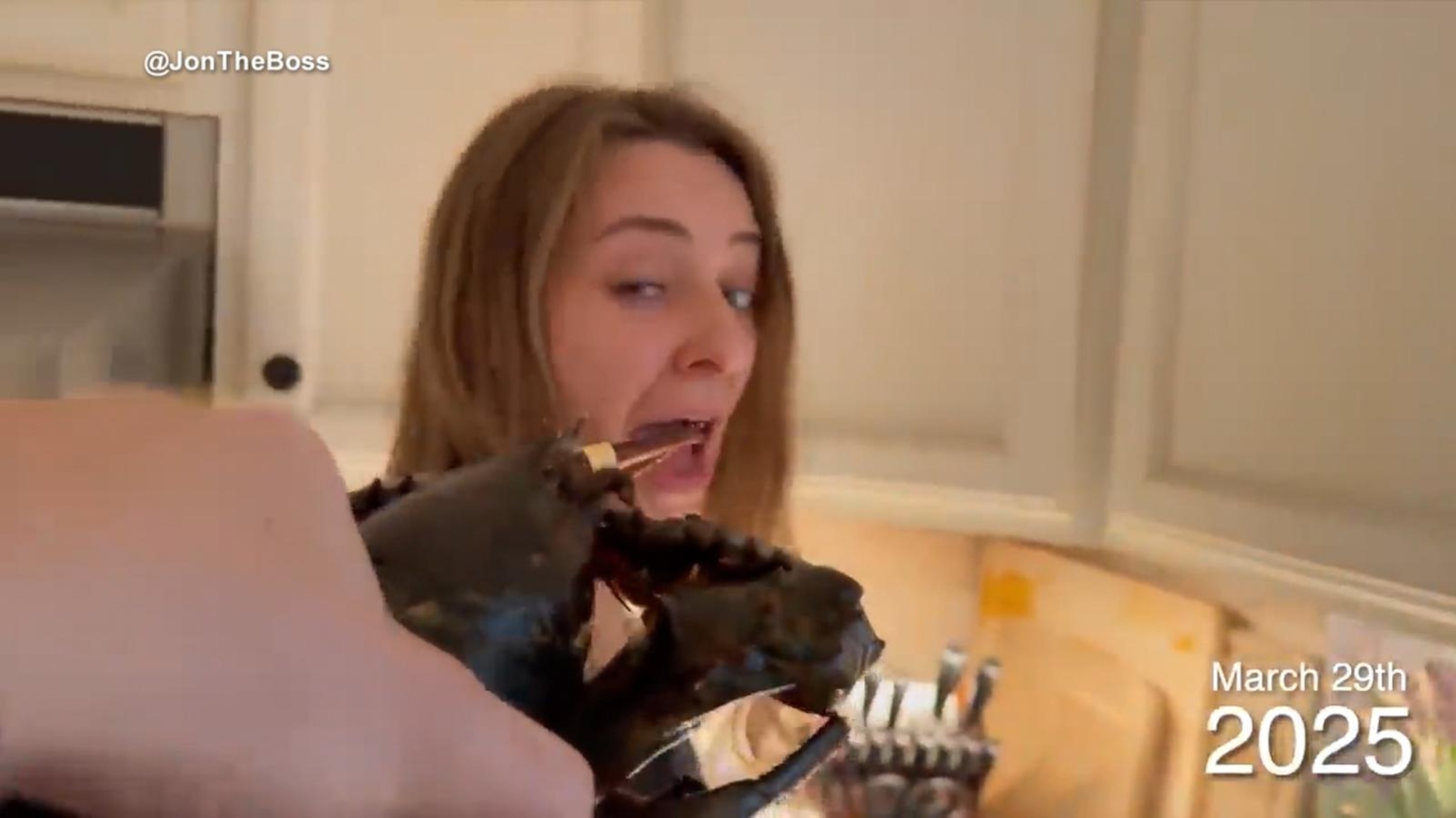 Couple's quirky 'Lobster Day' tradition draws millions online