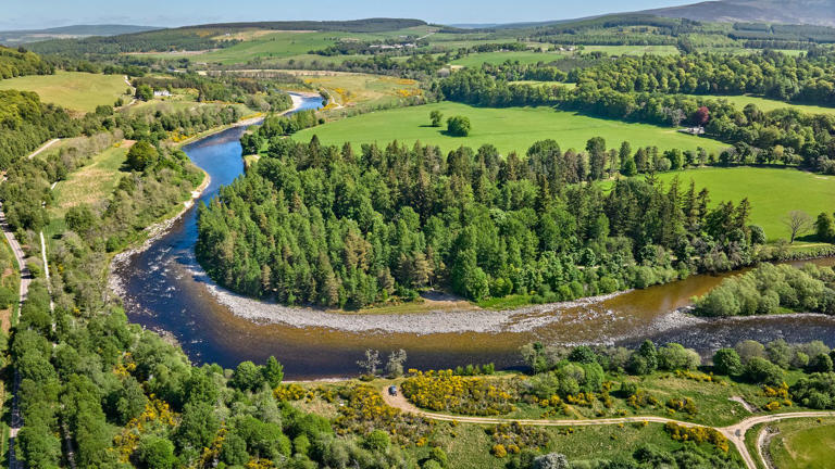 Fish, eels and birds killed in suspected river pollution incident