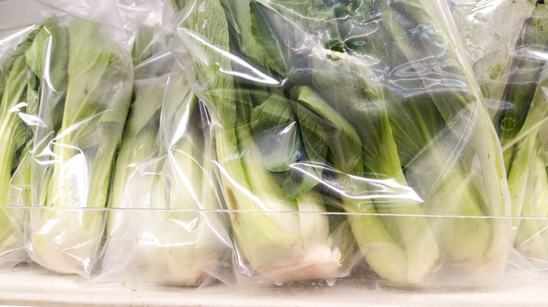 Tips you need when cooking with bok choy