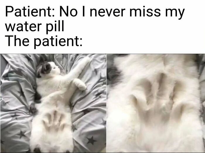 Nurses don’t have time to scroll memes, but if they did, they would ...