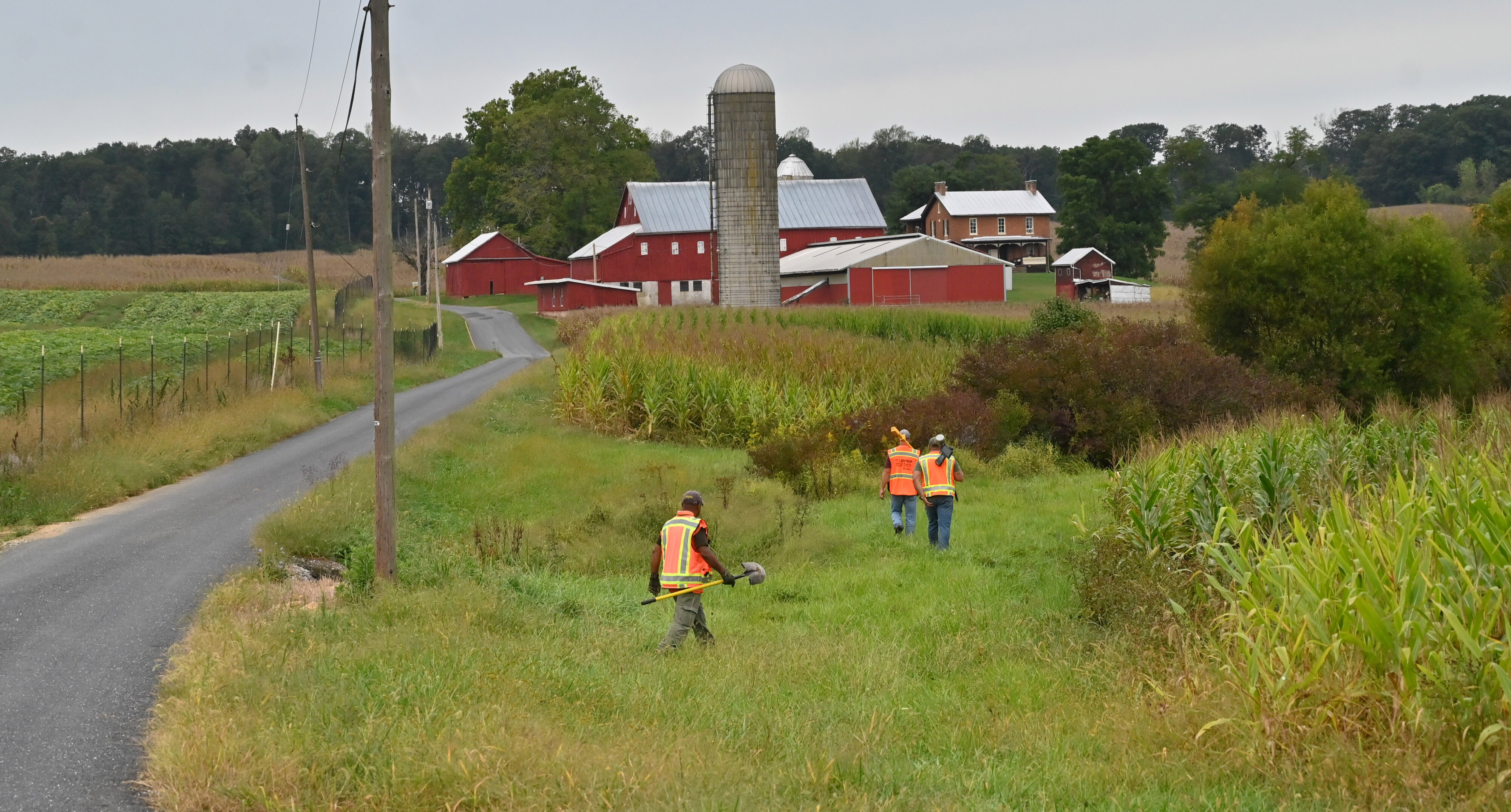 Piedmont power line faces delays as federal court weighs private ...