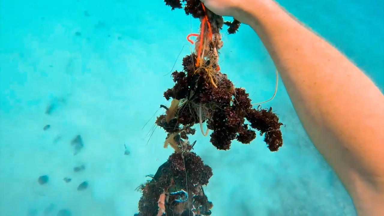 Watch what happens when human negligence destroys the underwater world