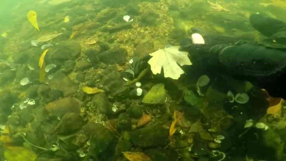 What I found in this freezing river