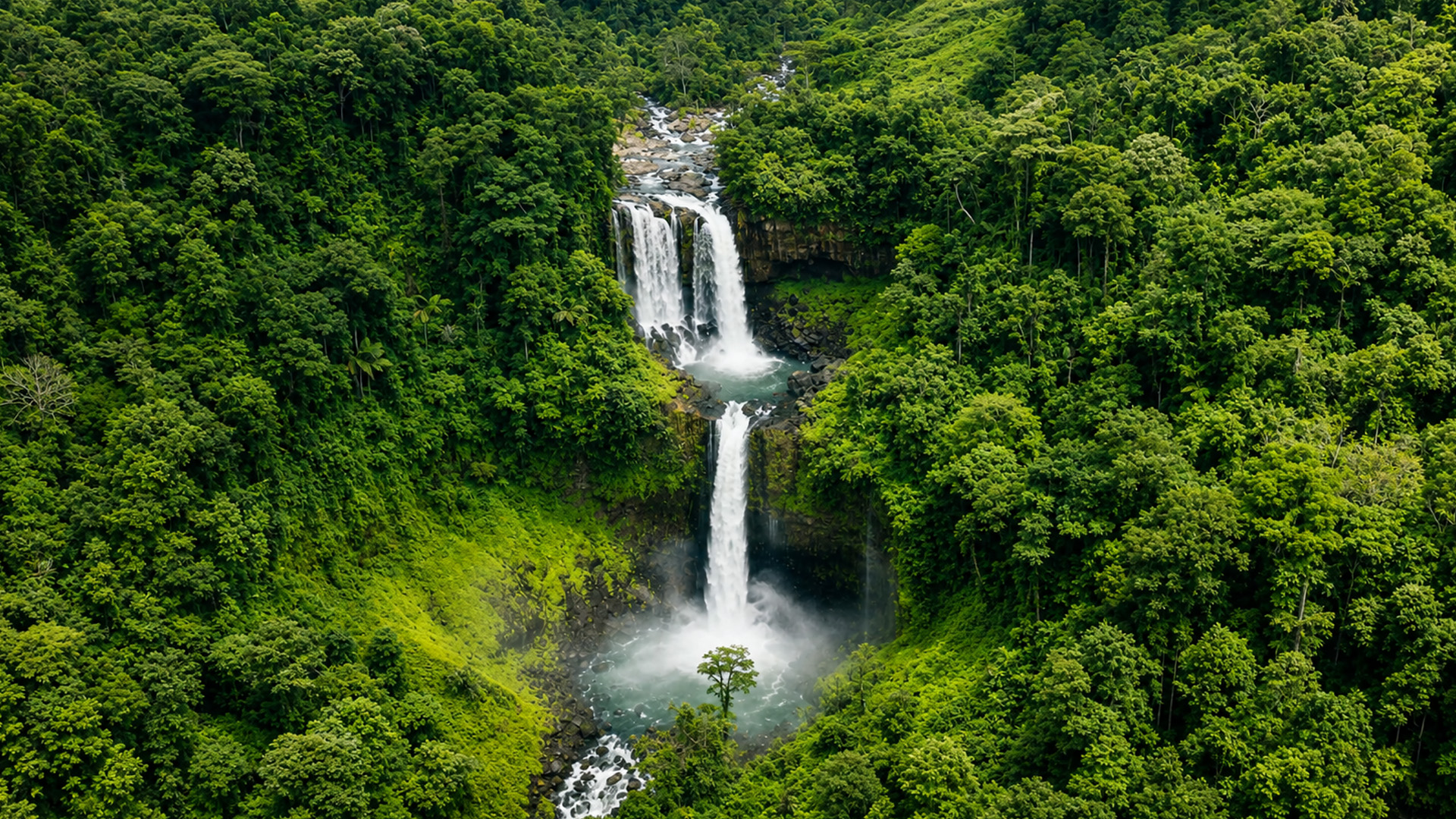 Una cascata nascosta in una foresta verde