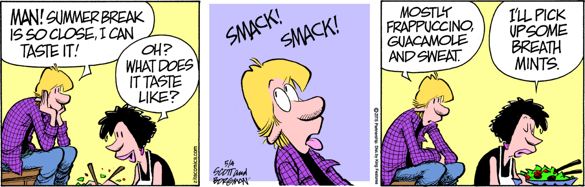 Zits by Jerry Scott and Jim Borgman