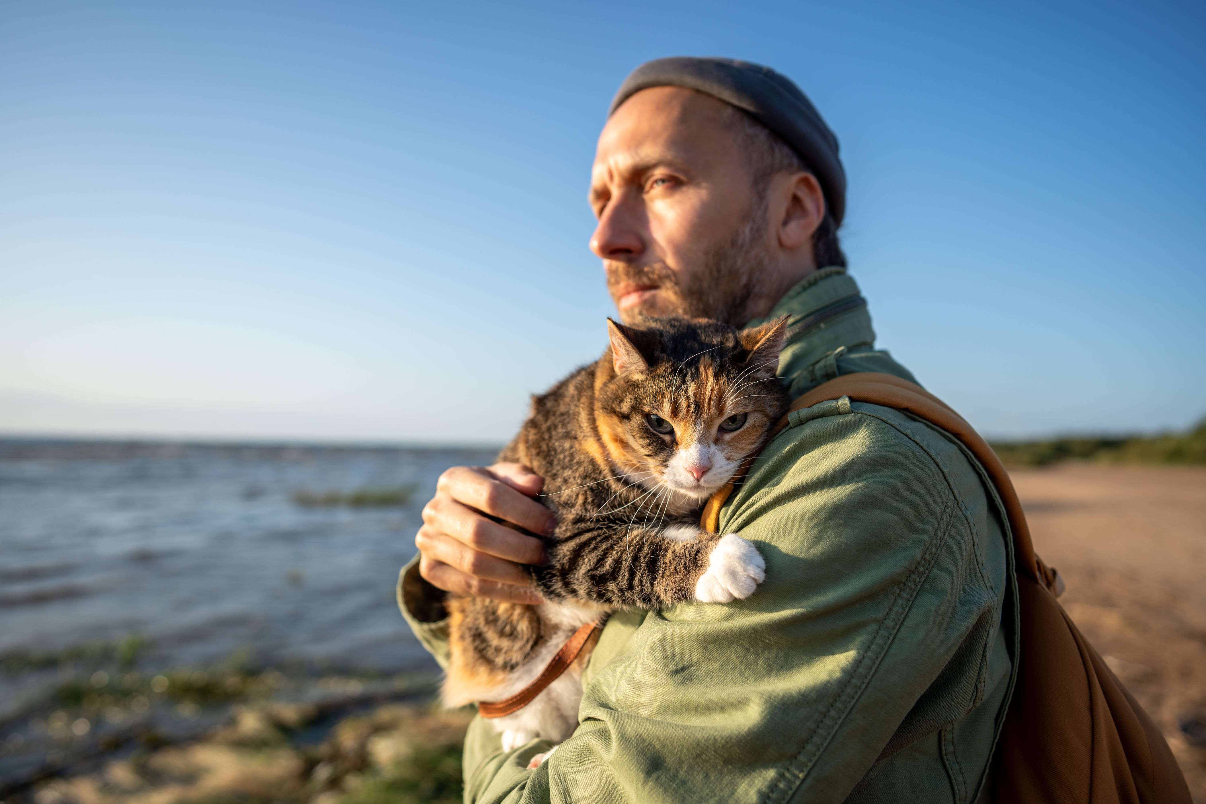 Man feeds stray cat, unprepared for what it starts bringing home