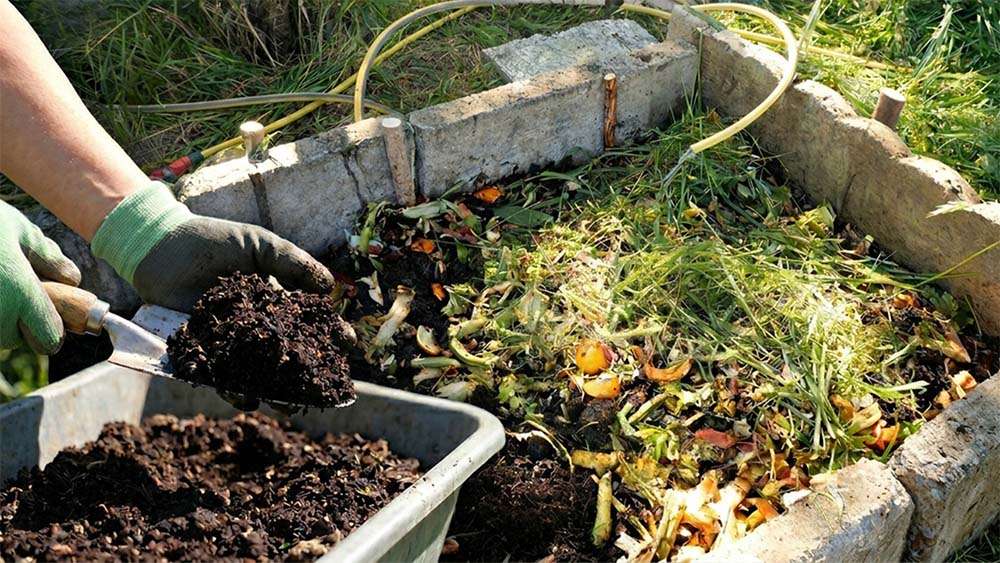 Come fare una lombricompostiera fai da te (e trasformare gli scarti in ...