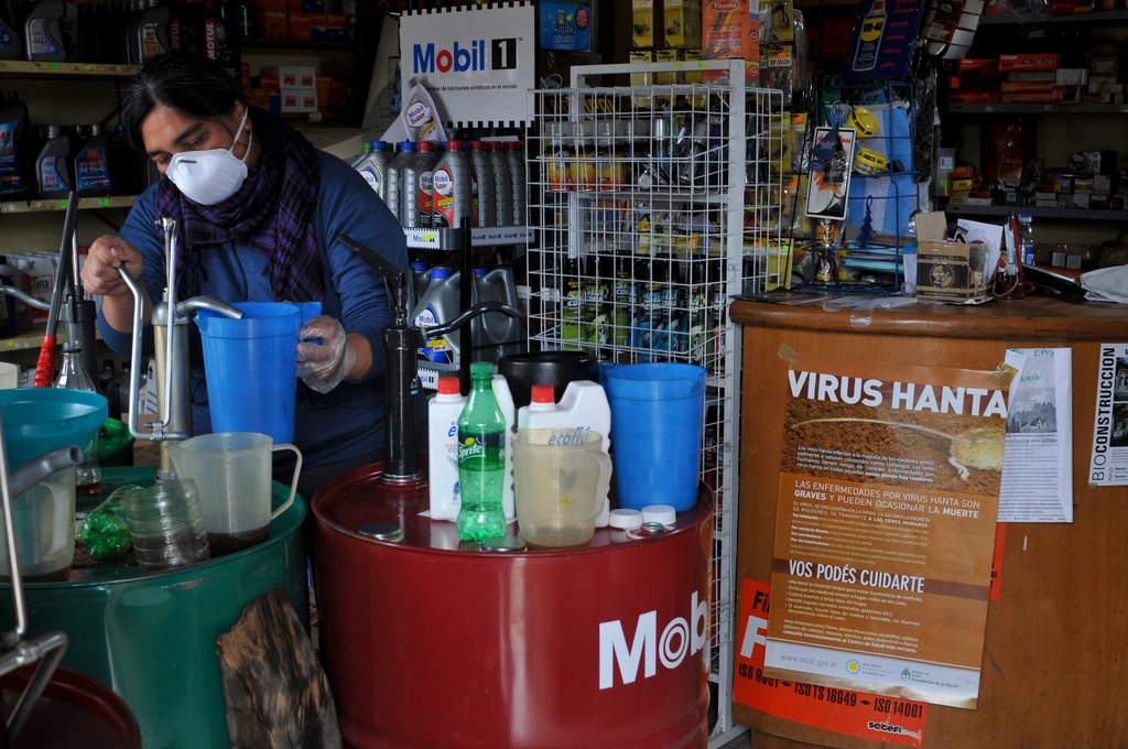 What to know about hantavirus, the illness suspected in a cruise ship ...