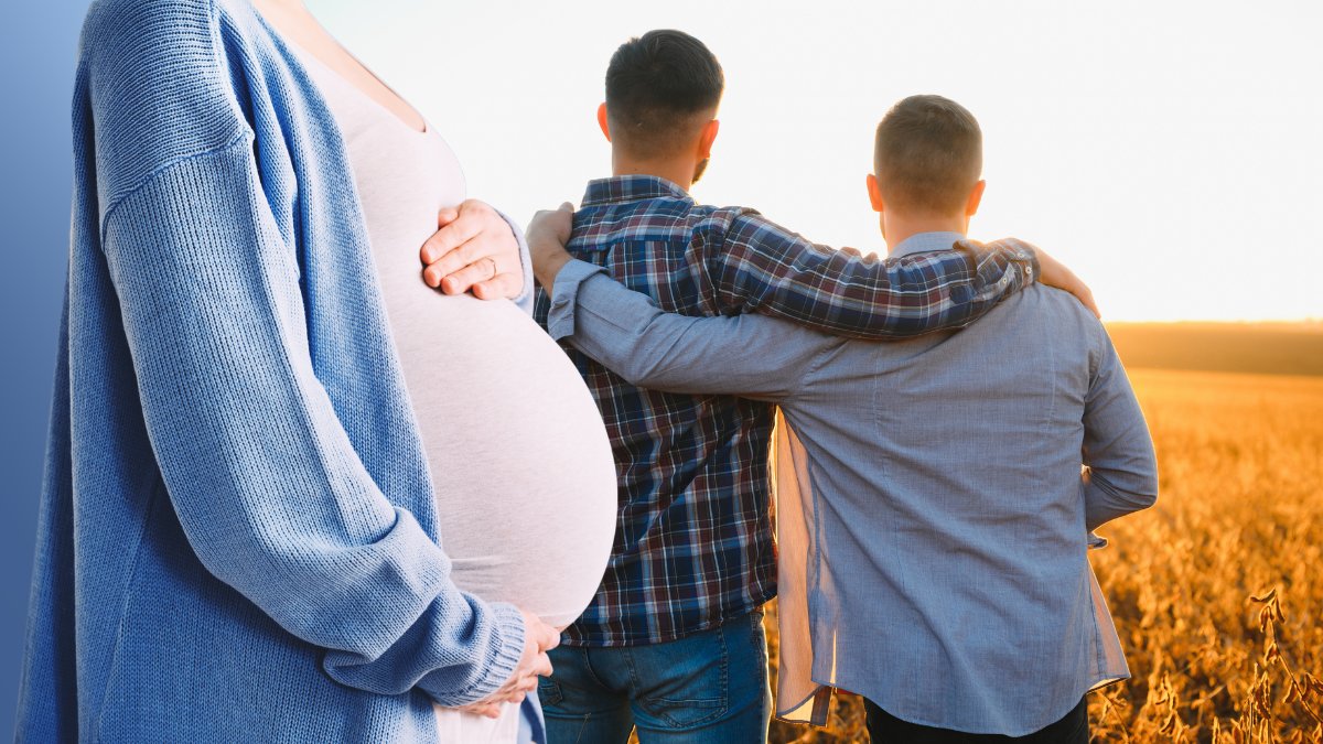 Hon valde att bli surrogatmamma – vill se lagändring