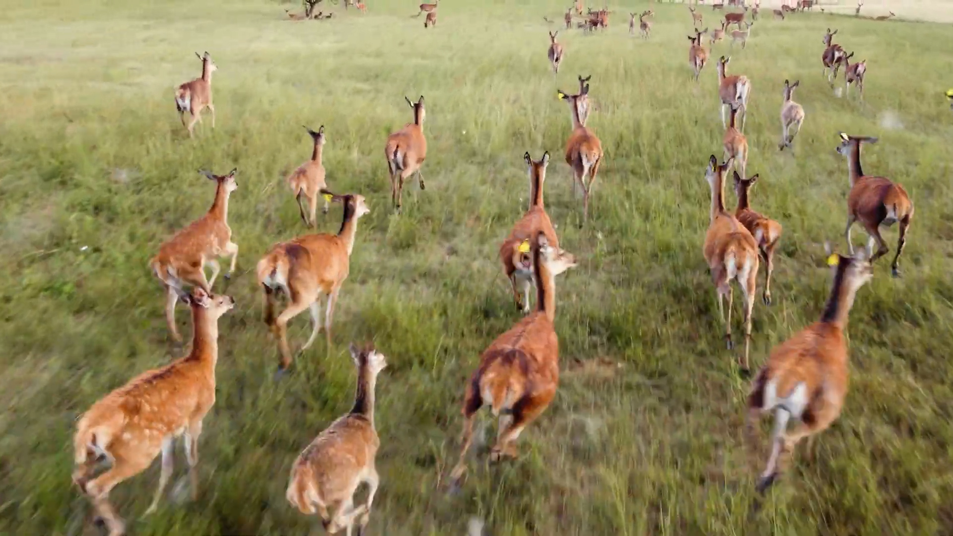 Quiet warnings nature gives before disasters that almost nobody ...