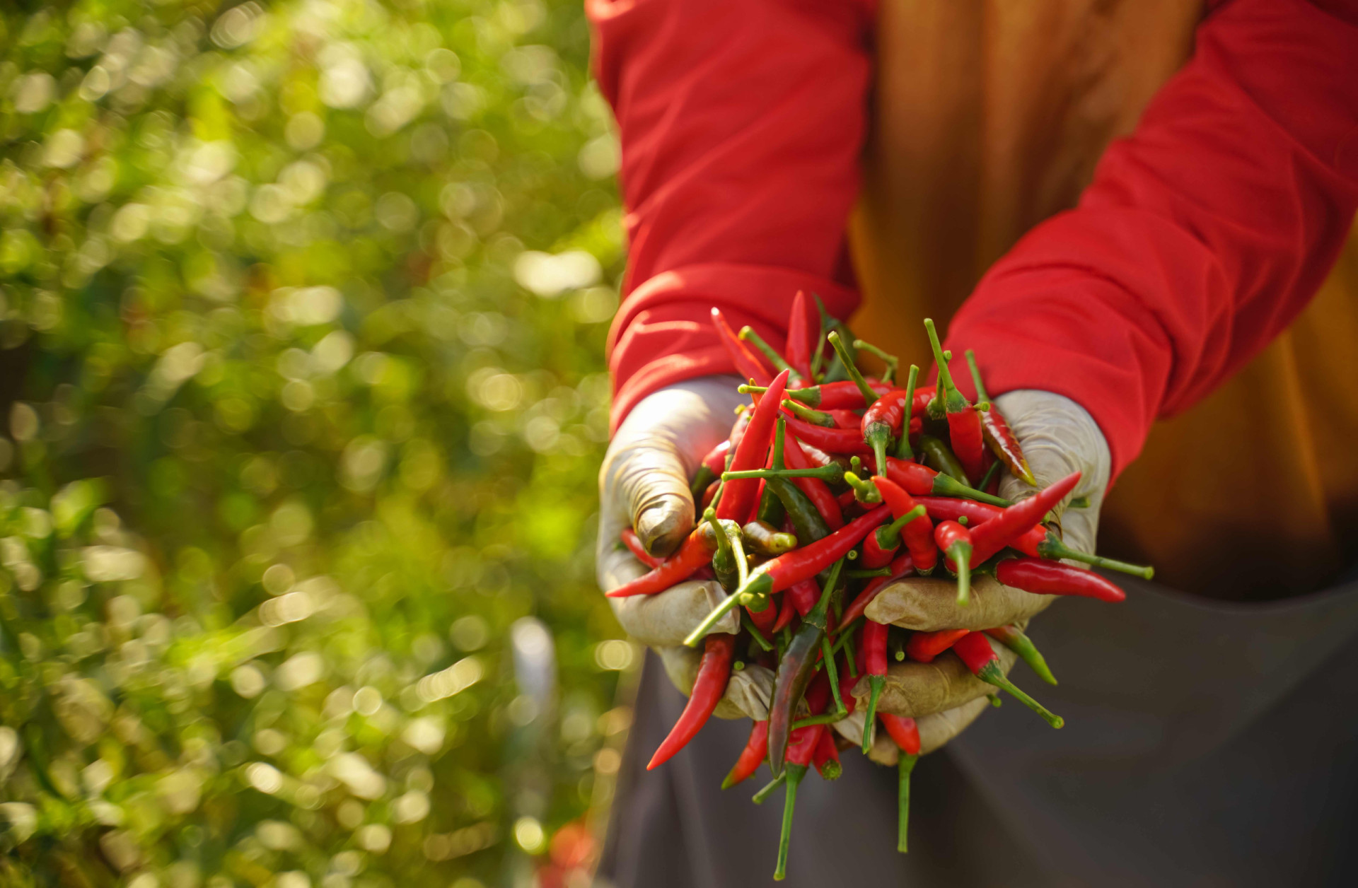 These everyday foods changed the world forever