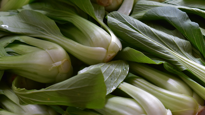 Tips you need when cooking with bok choy