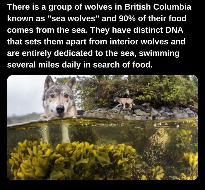 41 fun and fascinating facts for people who eat knowledge for breakfast