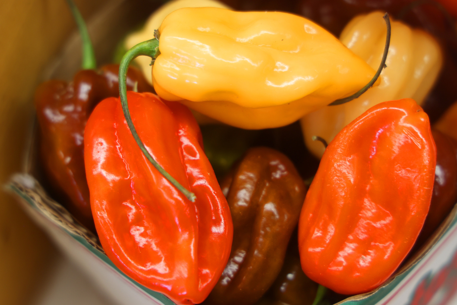 What happens to your body when you eat spicy foods?