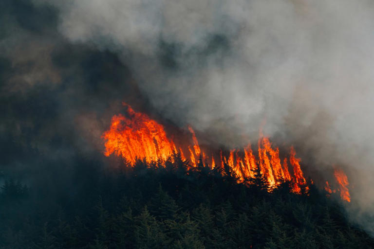 Elevated risk of fire danger in NY for Monday