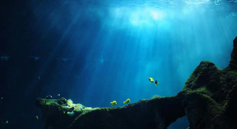 Arqueólogos descubren piedras de 80 toneladas bajo el mar Mediterráneo ...
