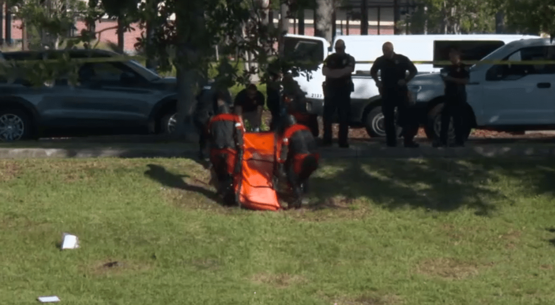 Investigan hallazgo de cuerpo en estanque en Tampa
