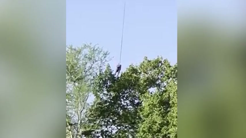 Police airlift crocodile from river on suspicion of eating missing man