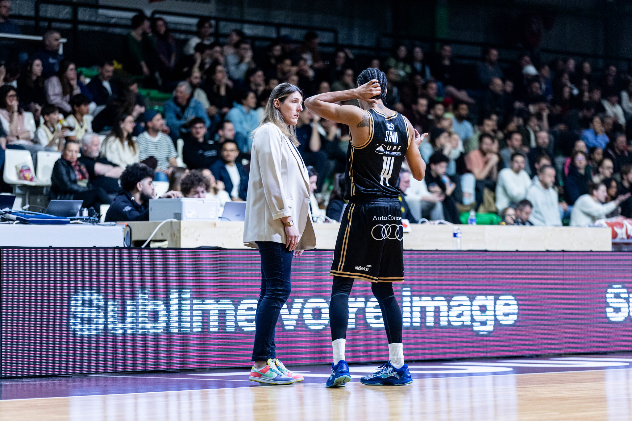 Officiellement promu en ÉLITE 2, le STB Le Havre en a fini avec ses ...
