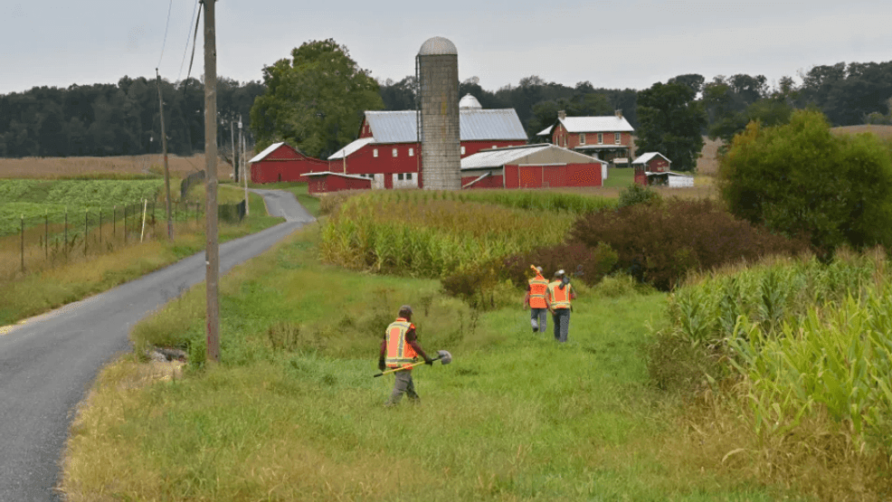 Sun: Piedmont power line faces delays as federal court weighs private ...