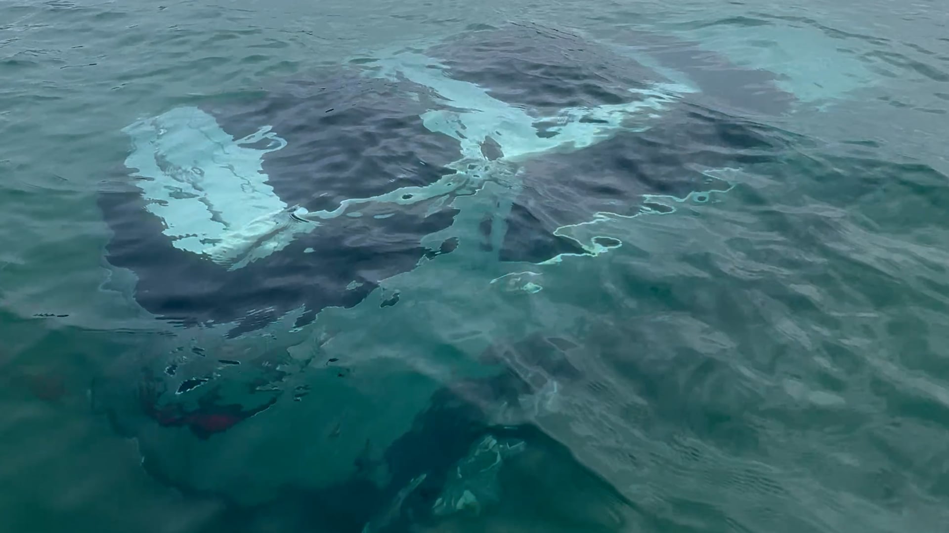 Car left on beach submerged by sea and rowed over by paddleboarder