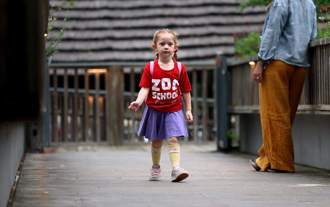 These Fort Worth kids attend 'Zoo School.' What animals do they learn ...