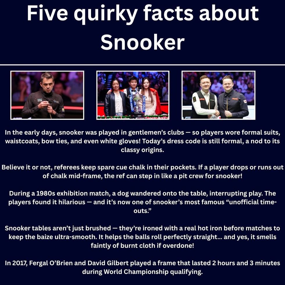 World Snooker Championship protester identified after causing chaos in ...