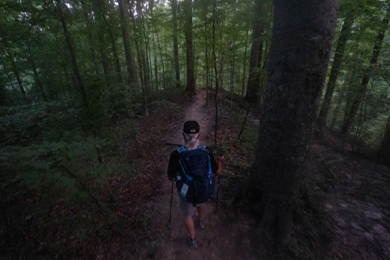 Tick-borne diseases are increasing. Here's how you can avoid them