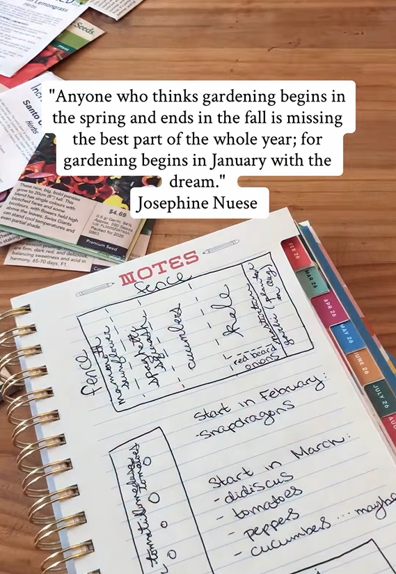 Garden planning routine sorting seeds reading and preparing for a ...