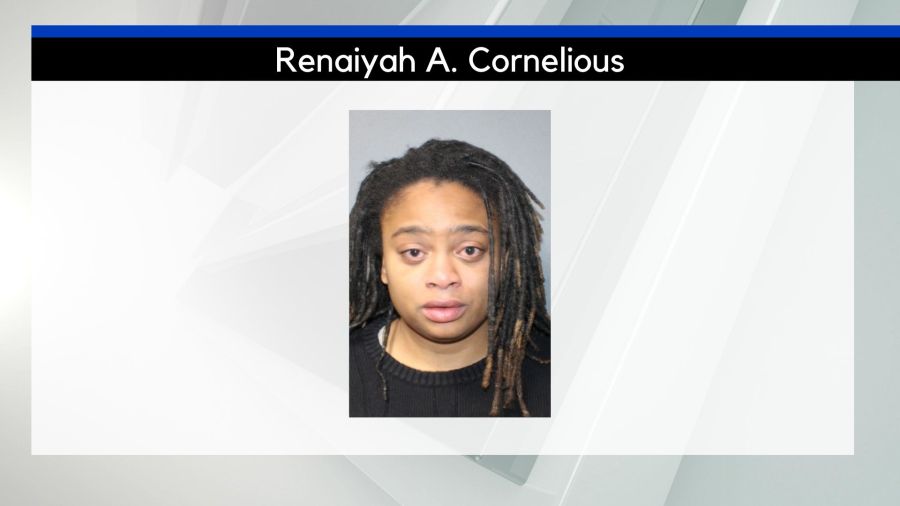 Buffalo woman pleads guilty to drunk driving accident that killed 81 ...