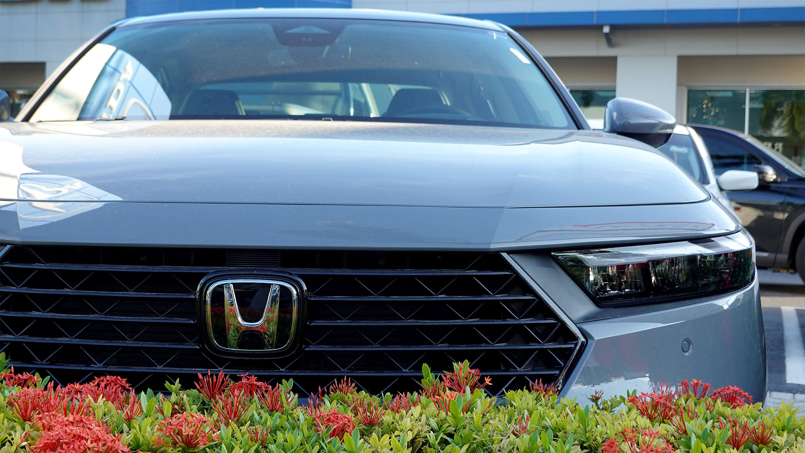 Honda just delayed a bunch of new models, report says: TDS