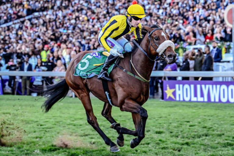 Hollywoodbets Durban July 2026: Latest antepost odds