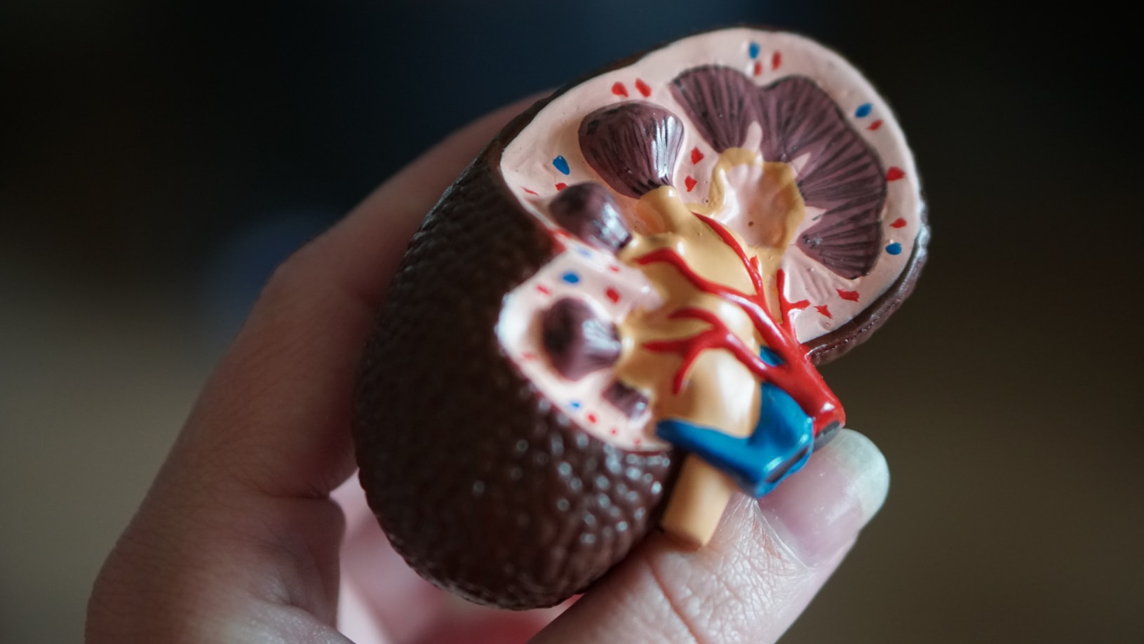 Everyday habits that may be hurting your kidneys
