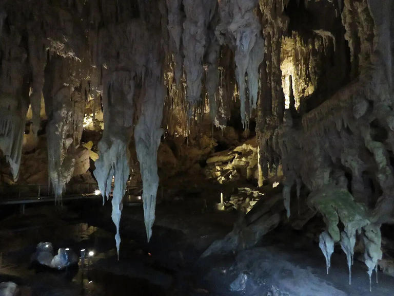 In the early 1900s, cavers in Western Australia found massive bones and ...
