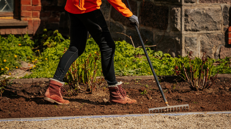 Goodbye to traditional mulch: The natural landscaping trend that's ...