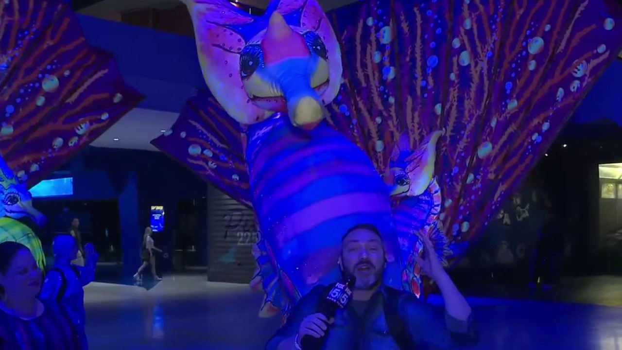 Summer elevates guest experience at Georgia Aquarium
