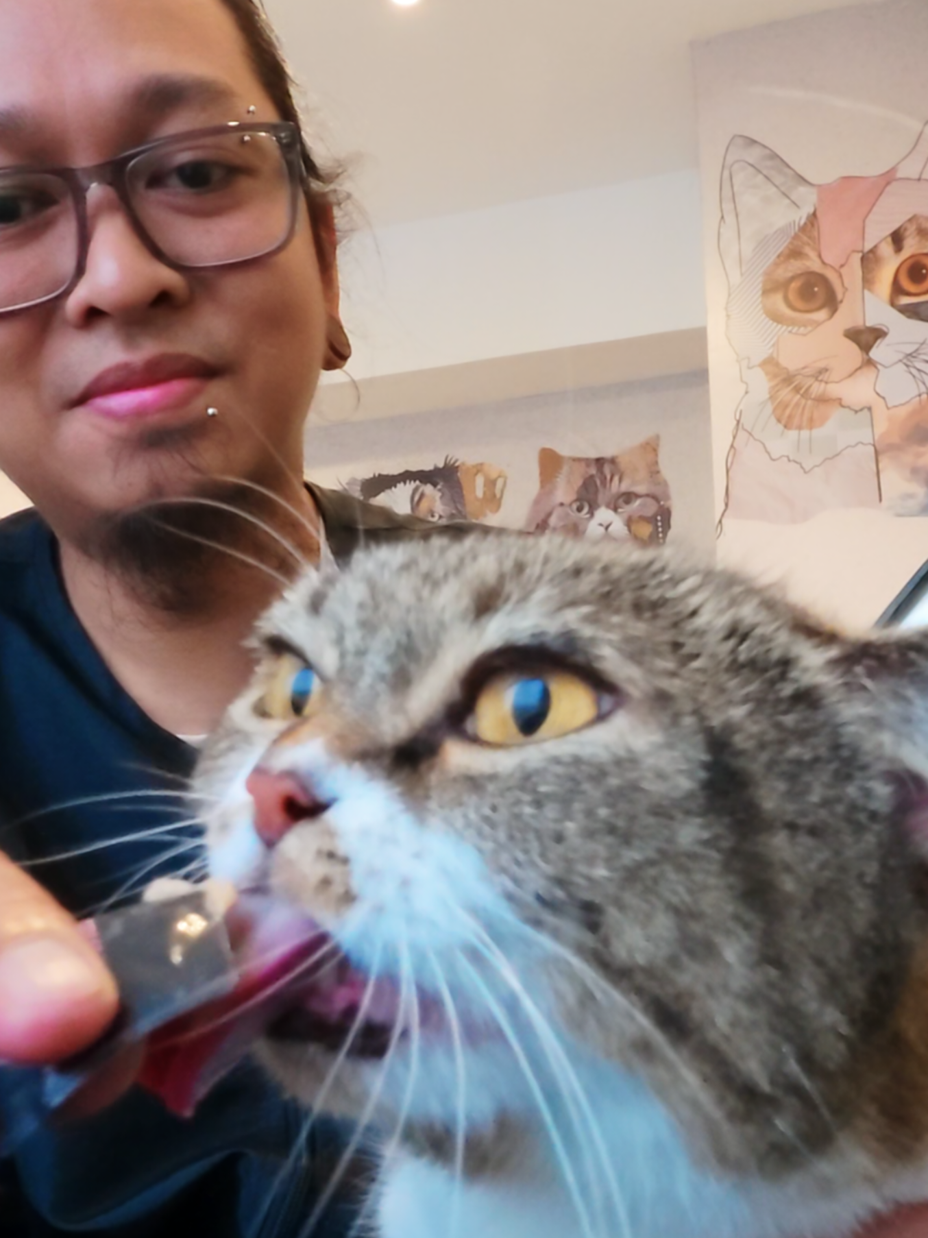 Feisty cat 'Porcupine' learns to trust 🙀