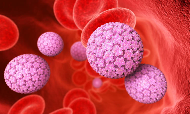 Scientists claim cervical cancer could be eradicated in the UK by 2048