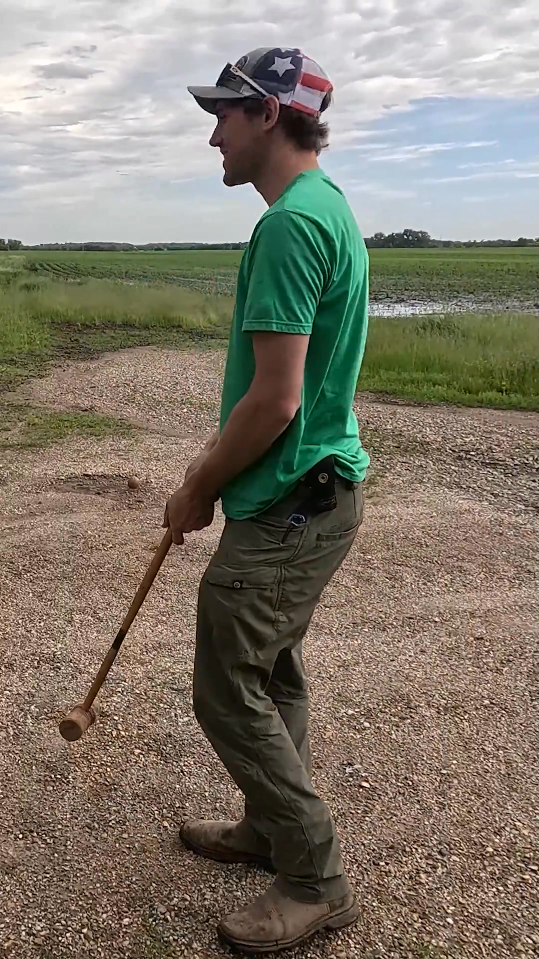 Cricket or croquet on the farm