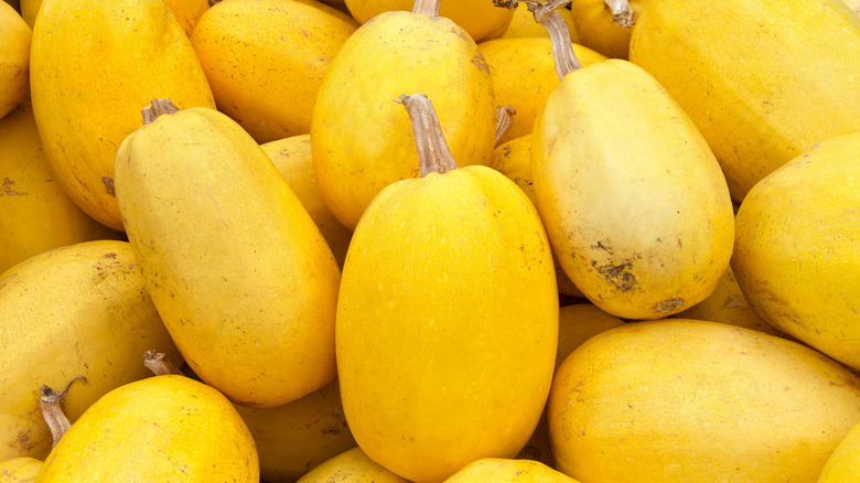 10 tips you need when cooking with spaghetti squash