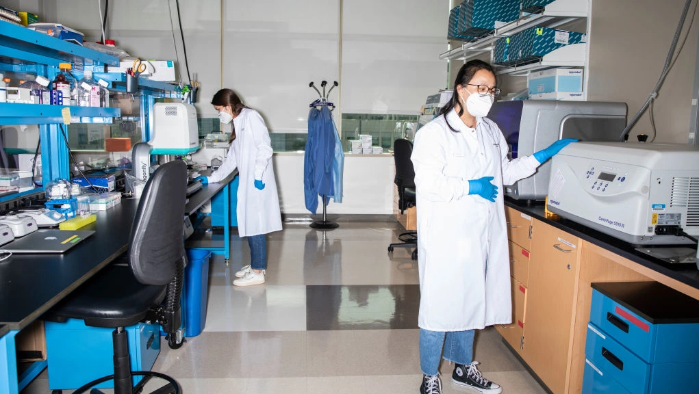 Biohub commits $500M to AI models of human cells