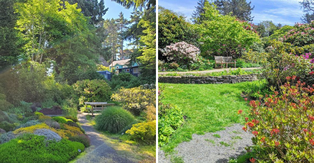 Slow down and wander through vibrant flowers at this hidden Oregon ...