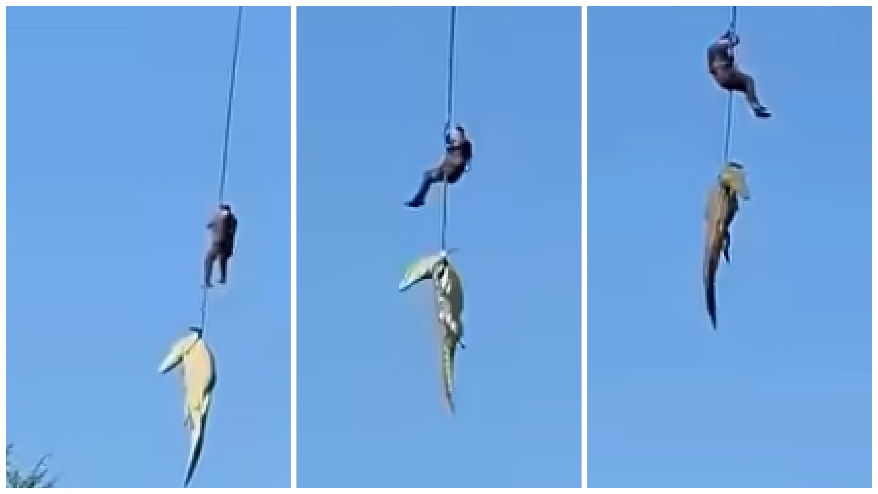 Terrifying video shows cop dangling from air with crocodile