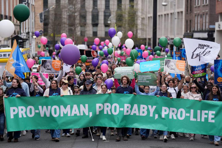 Hundreds take part in anti-abortion rally in Dublin