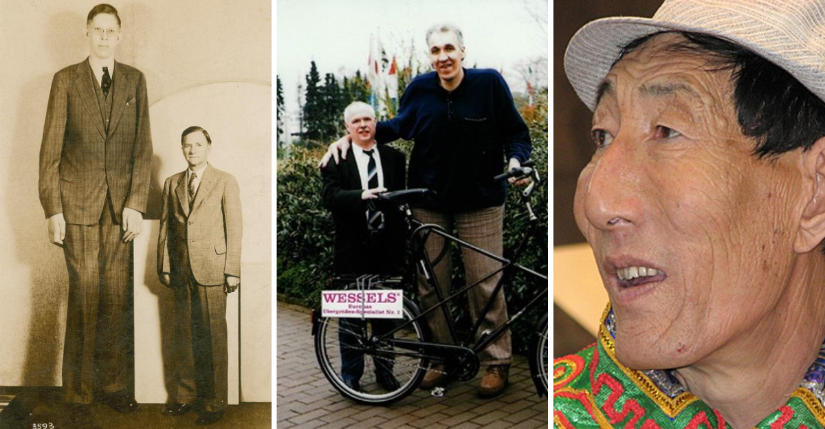 12 of the tallest people in history you need to know
