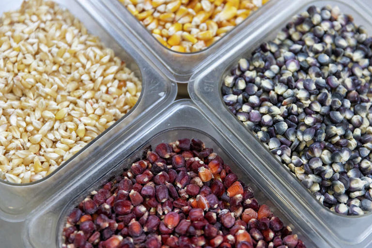 This breakout Berkeley restaurant will change how you look at corn